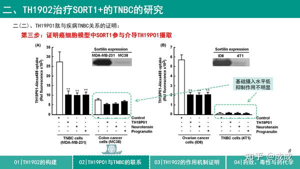 文献解读| TH1902，一种新的多西他赛肽偶联物，用于治疗sortilin阳性的三阴性乳腺癌 - 知乎