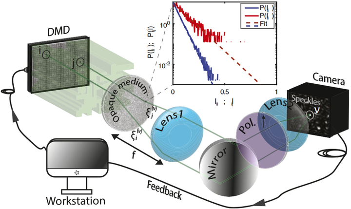 基于 DMD 研究多种自旋系统的统计动力学以及相变过程（PRL+PNAS分享与解析） - 知乎