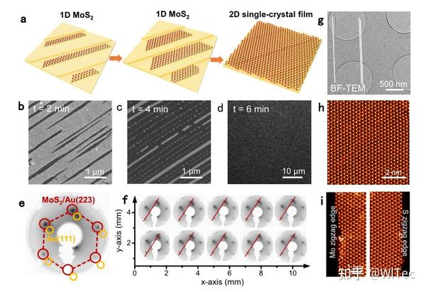 Nat. Commun. | 北京大学张艳锋教授课题组在单一取向MoS2条带拼接制备英寸级单晶薄膜方面取得新进展 - 知乎