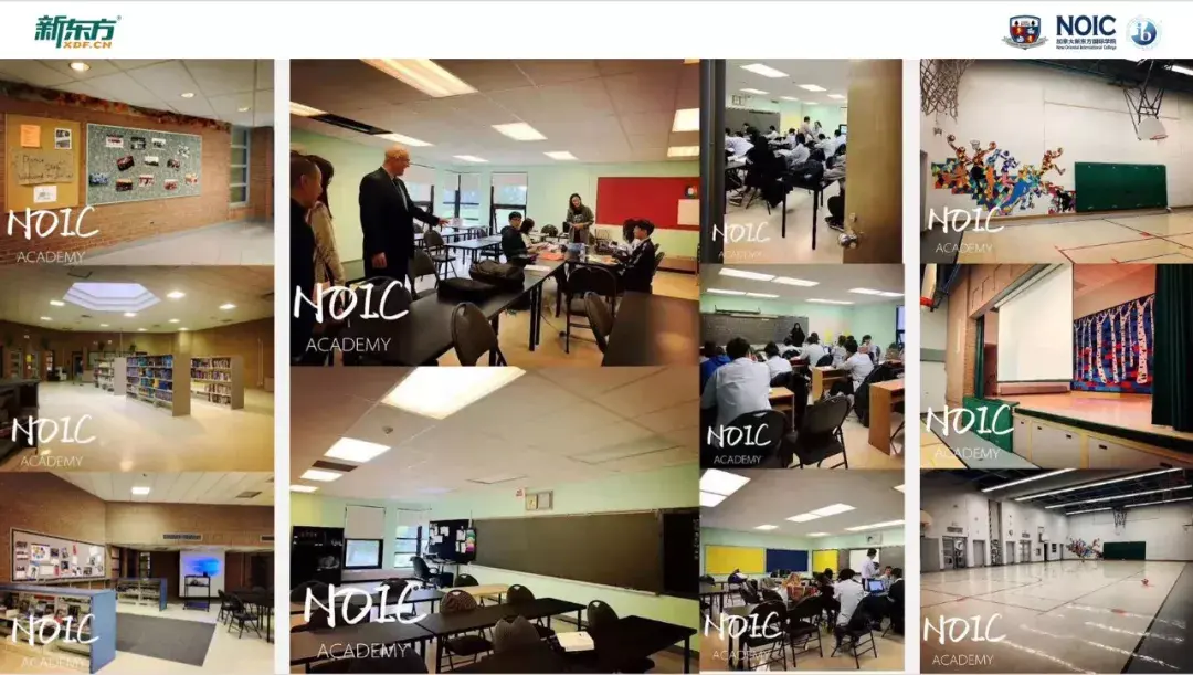 NOIC：超高录取率源于优质师资，战略链接再起航 - 知乎