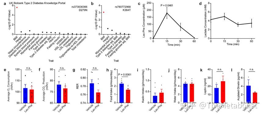 代谢学人——Nature: 运动诱导Lac-Phe，让你吃得少又苗条 - 知乎