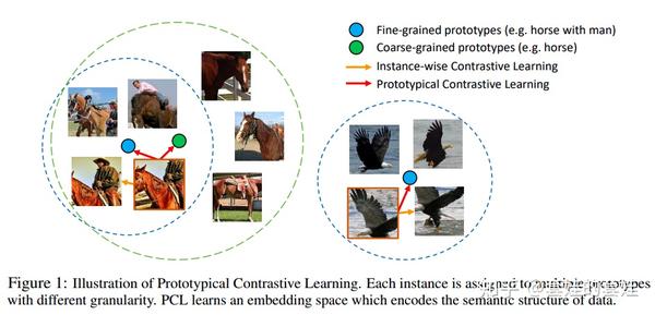 【Deep Clustering】Prototypical Contrastive Learning of Unsupervised Representations - 知乎