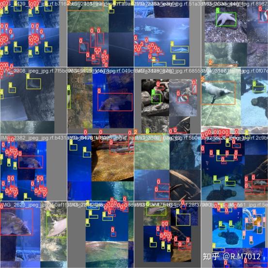 基于YOLOv8模型的水下目标检测系统（PyTorch+Pyside6+YOLOv8模型） - 知乎