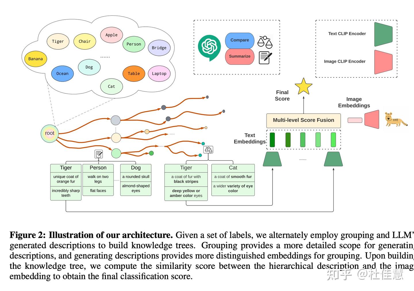 ChatGPT-Powered Hierarchical Comparisons for Image Classification - 知乎