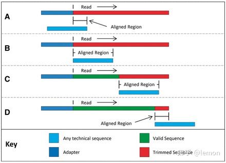 trimmomatic使用说明 - 知乎