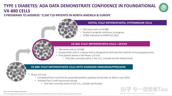 VERTEX糖尿病干细胞管线的排兵布阵 - 知乎