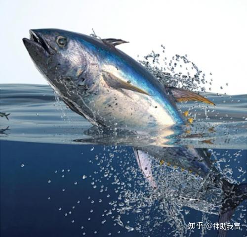 VINKISS PQQ黑松露干细胞精华饮，升级配方，引领年轻美丽新风尚 - 知乎