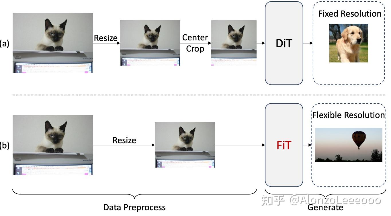 Diffusion Transformer Family：关于Sora和Stable Diffusion 3你需要知道的一切 - 知乎