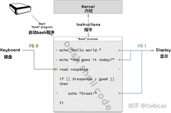 Bash 指南四篇之 bash 是什么，它活在哪里？ - 知乎