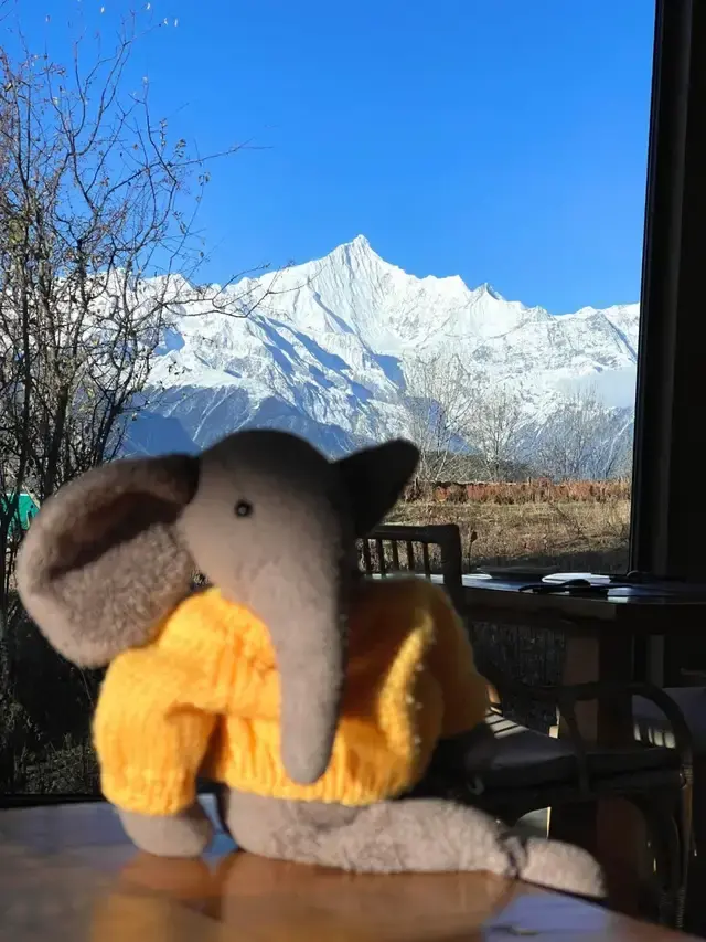 Jellycat：风靡全球的人气萌物，给你治愈与陪伴 - 知乎