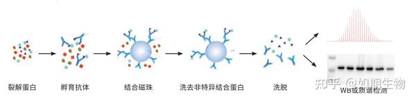 COIP 原理与实验流程 - 知乎