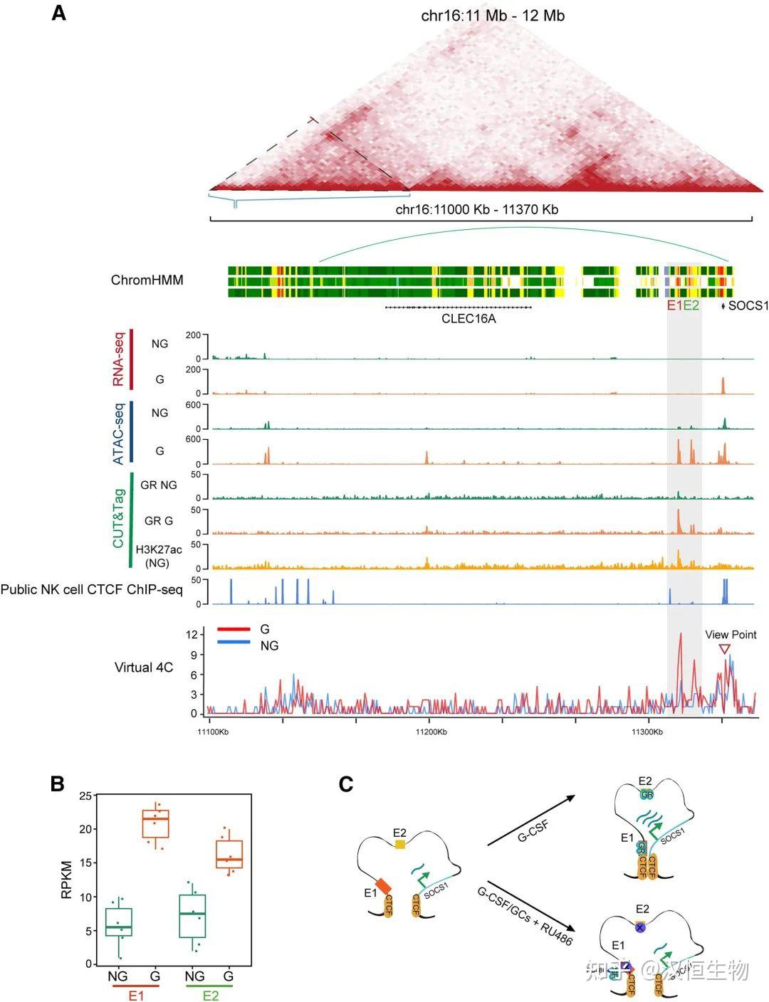 Cell Reports | 炎症性疾病潜在靶点新发现 - 知乎