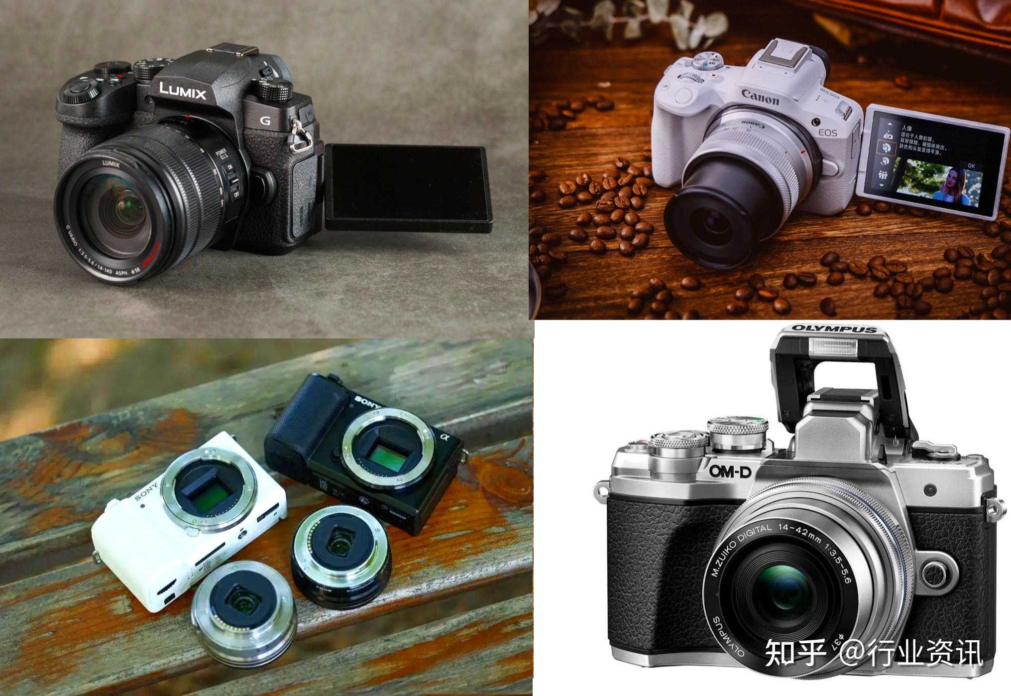 入门级微单：佳能R50、R10、索尼ZV-E10、尼康Z30、奥巴E-M10和松下G95D 之间如何选？ - 知乎