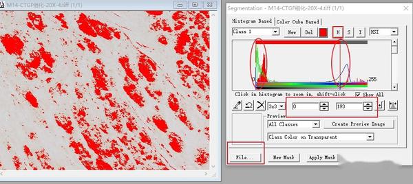 聊一聊 Image-Pro Plus 测量平均光密度。 - 知乎