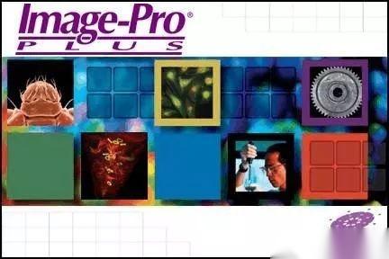 聊一聊 Image-Pro Plus 测量平均光密度。 - 知乎