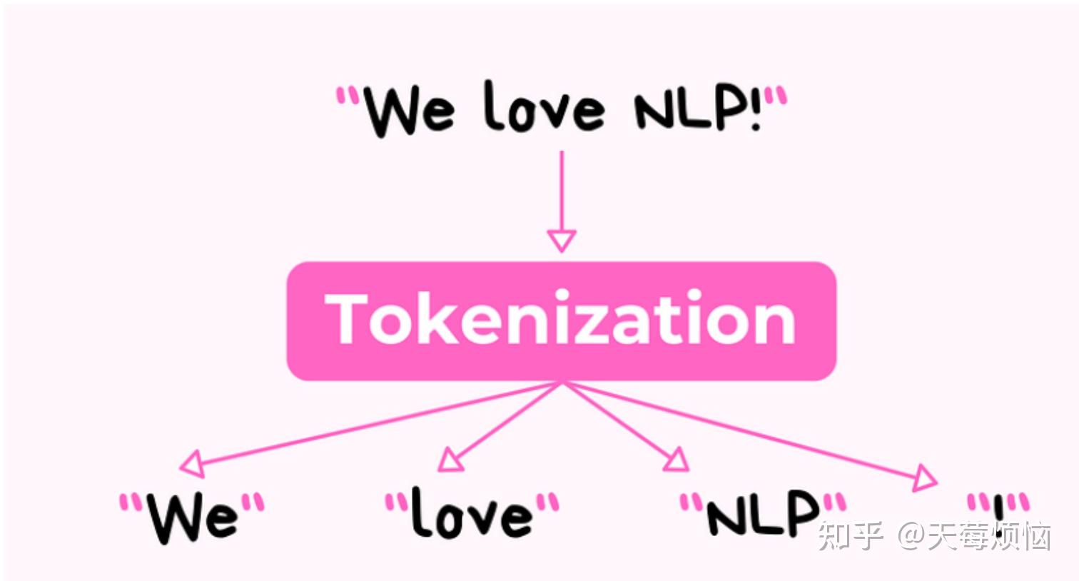 NLP领域中的token和tokenization到底指的是什么？