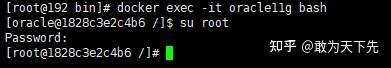 Docker安装Oracle_11g的方法 - 知乎