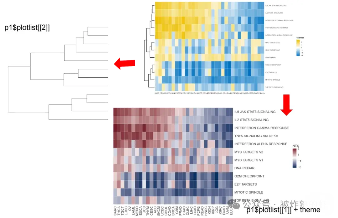 绘图练习 | 使用ggplot2绘制热图 - 知乎