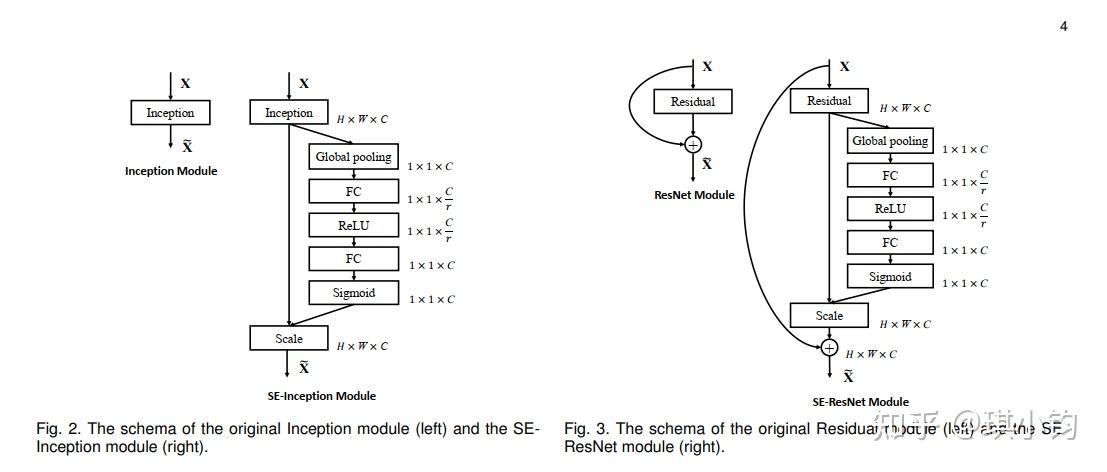 全网最详细的SE论文解读，附代码实现 - 知乎