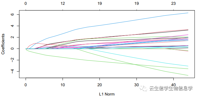 带你分分钟看懂LASSO回归系数图和参数图，生信入门必看 - 知乎