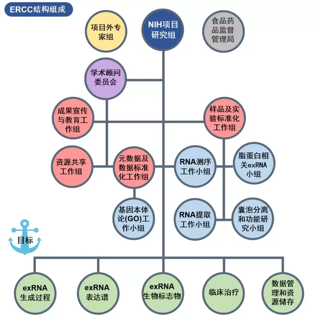 多篇Cell聚焦 | 细胞外RNA知多少——3张图带你认识exRNA和ERCC - 知乎