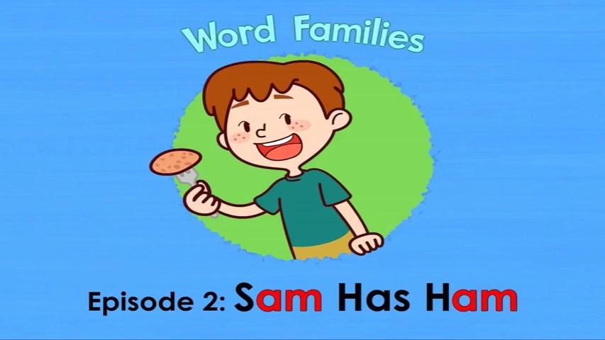从0到100 第二课 Sam has ham - 知乎