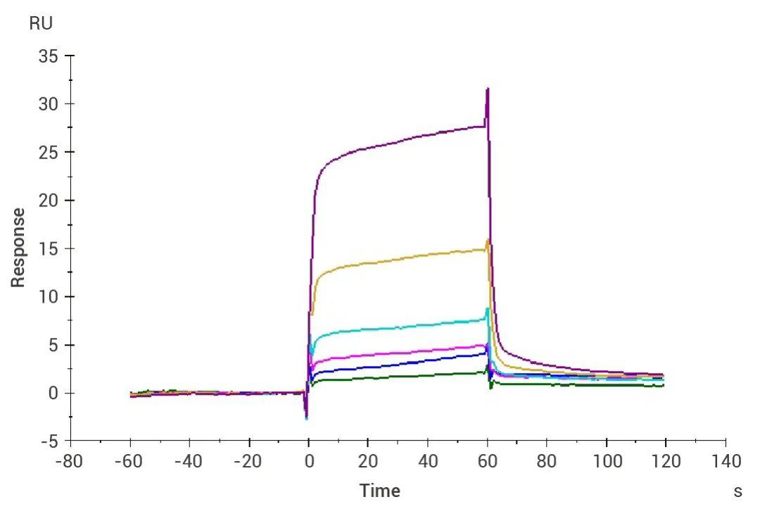SPR技术原理是什么？ - 知乎