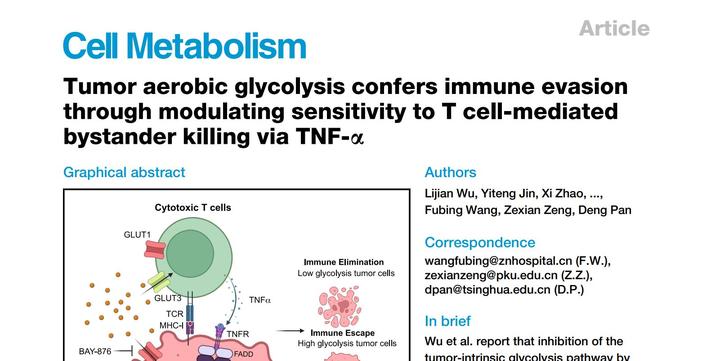 Cell Metabolism | 最新发现：糖酵解助力肿瘤细胞免疫逃逸机制 - 知乎