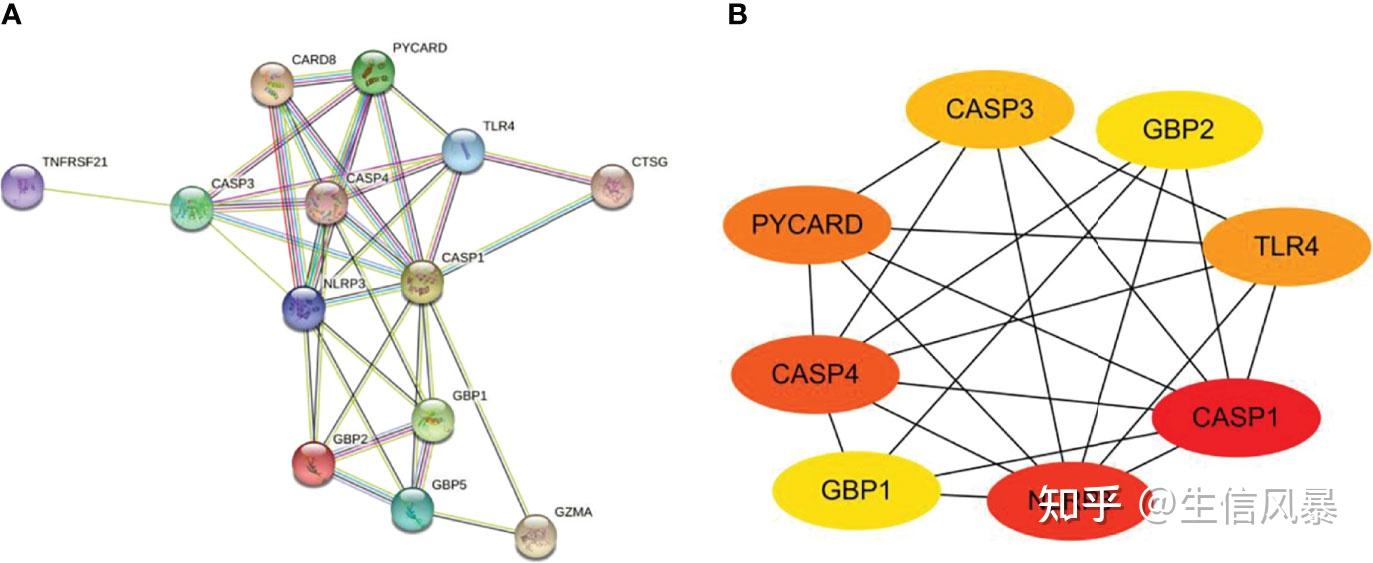 6+细胞焦亡+干湿结合生信思路 - 知乎