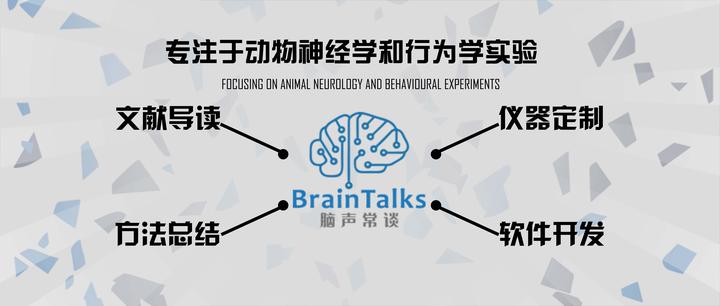 脑声常谈丨黑质纹状体多巴胺过度释放引起精神分裂症的社交和空间记忆缺陷 知乎