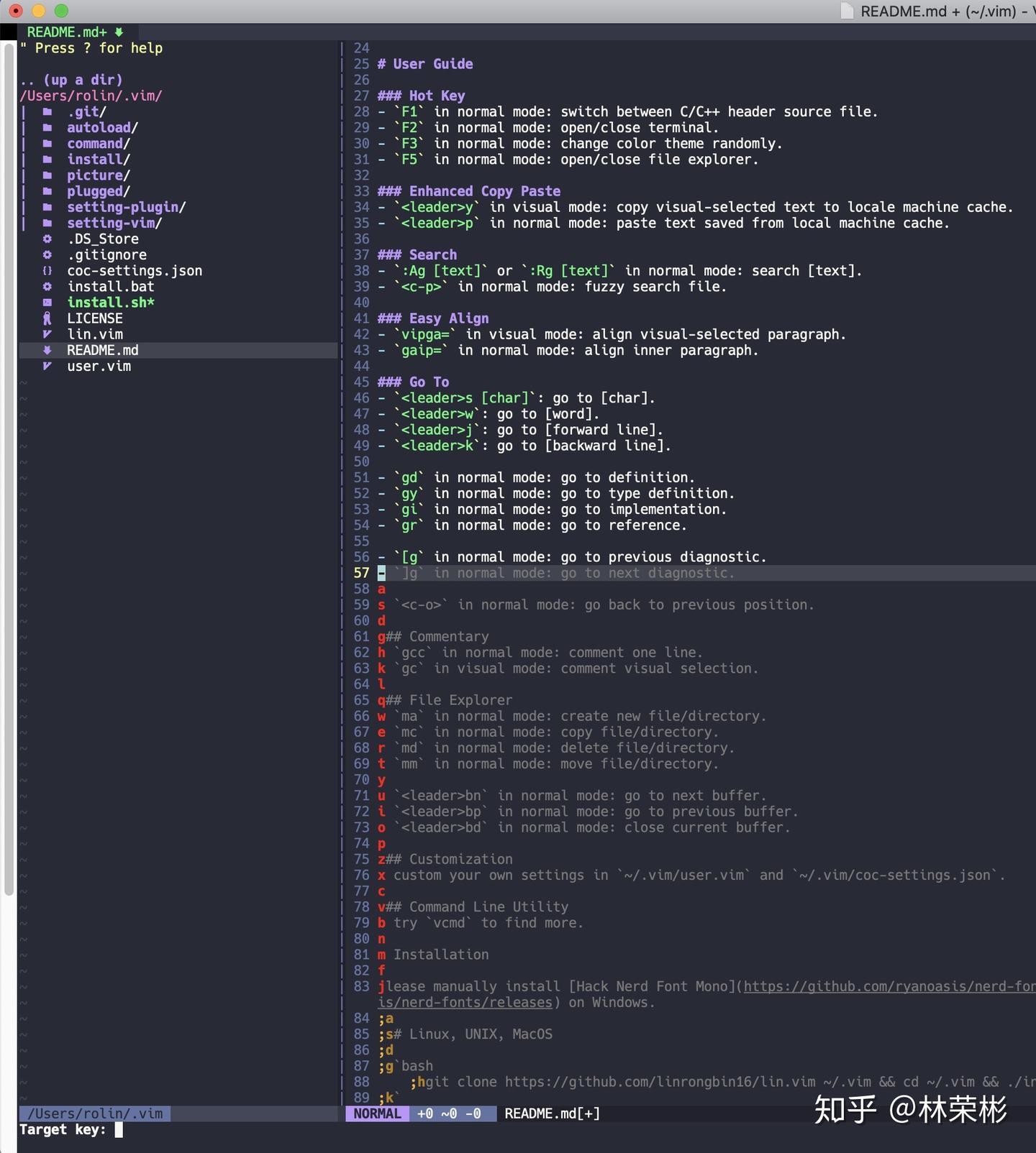 可能是最适合新手的(Neo)Vim开箱即用发行版 - 知乎
