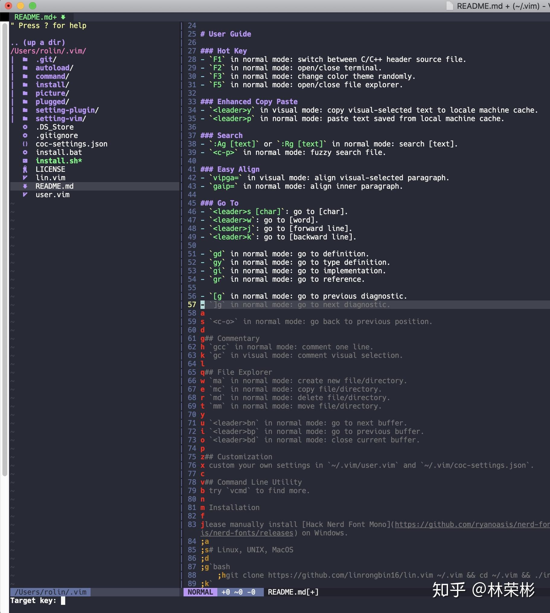 可能是最适合新手的(Neo)Vim开箱即用发行版 - 知乎