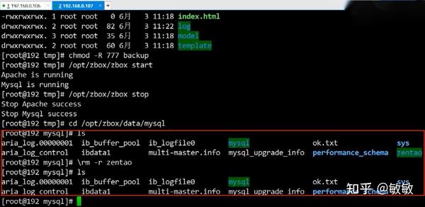 小白必看！一文教你如何进行禅道迁移 - 知乎