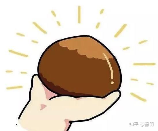 AdaRound：一种自适应调整round的模型后量化算法 - 知乎