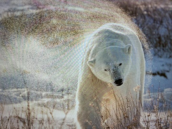 SGD Classifier随机梯度下降分类器 - 知乎