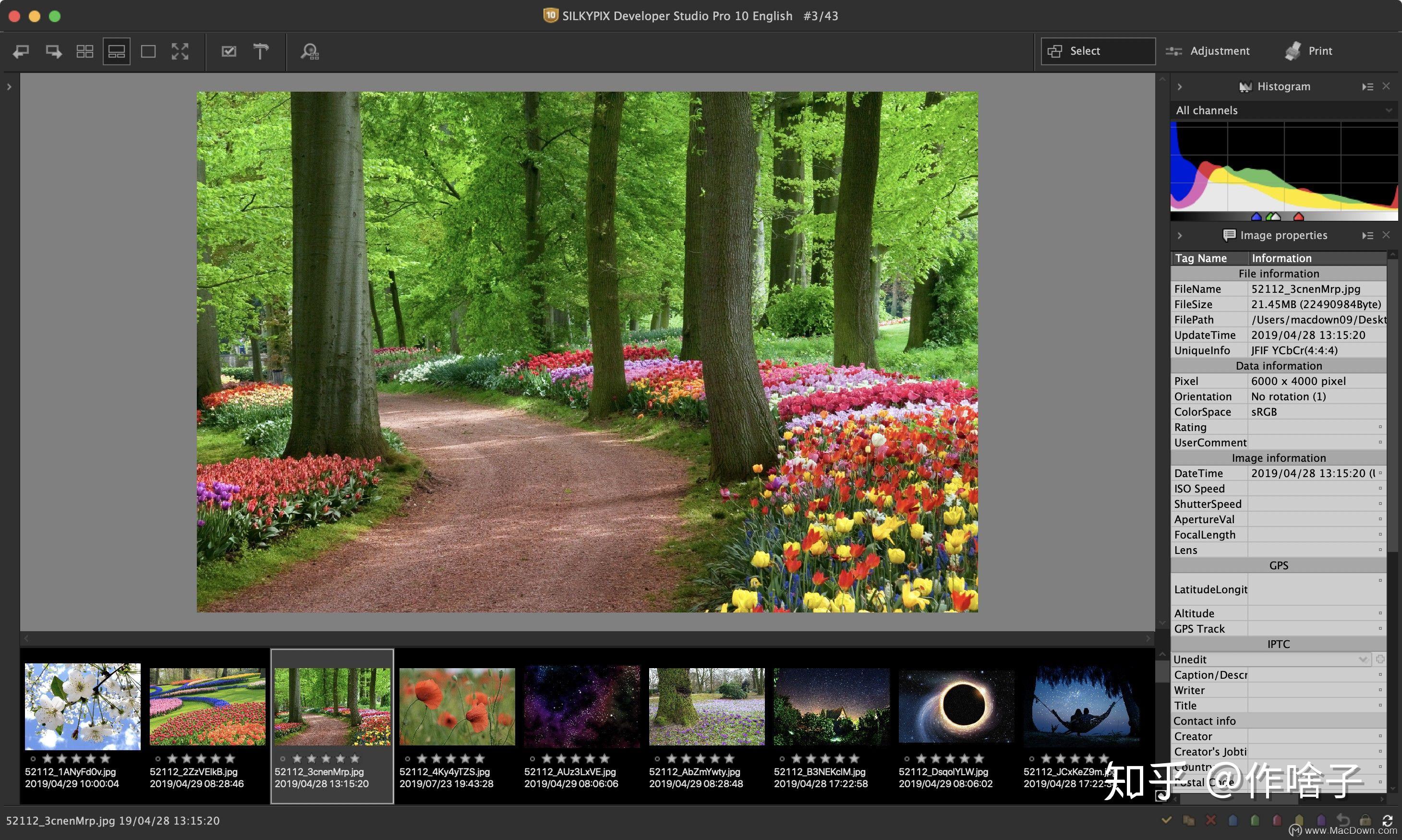 SILKYPIX Developer Studio Pro 10 (RAW数码照片处理) - 知乎