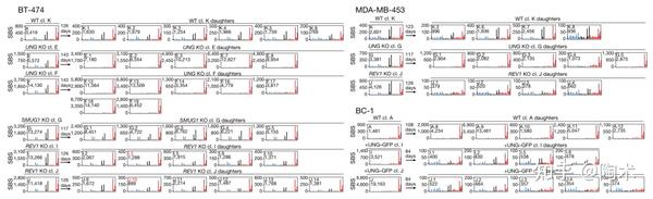 【Nature】癌症机制新突破：APOBEC3与内源性癌症突变 - 知乎