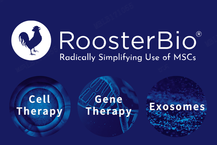 RoosterBio间充质干细胞培养基：无异源成分且节本高效的hMSCs培养之选 - 知乎