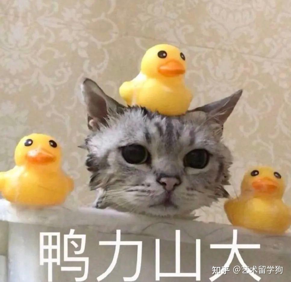 国美保研选手，如何斩获RCA、UAL、爱丁堡等offer大满贯？！ - 知乎