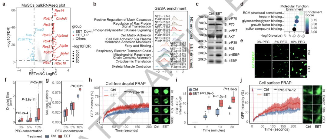 Nature丨GSDMD是炎症早期组织修复所必须的——代谢重编程的突出作用 - 知乎