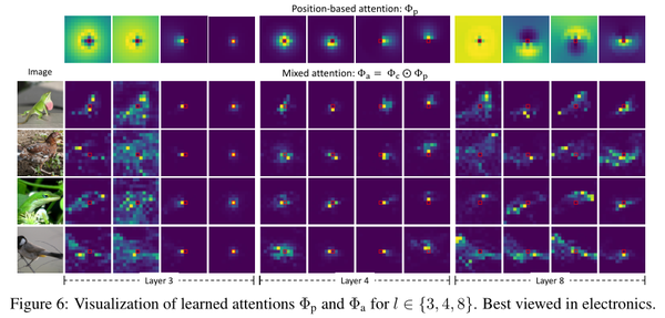 神经网络也能像人类利用外围视觉一样观察图像！POSTECH&MSRA&中科大提出PerViT，让神经网络也能关注图片中的重点信息！ - 知乎