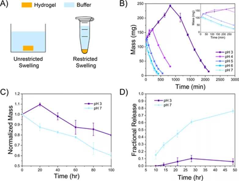 pH 值对通过动态硫-迈克尔加成键交联的水凝胶性能的影响 - 知乎