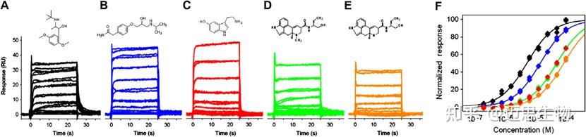 SPR分子互作检测介绍 - 知乎