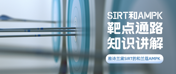 SIRT和AMPK靶点通路知识讲解 - 知乎