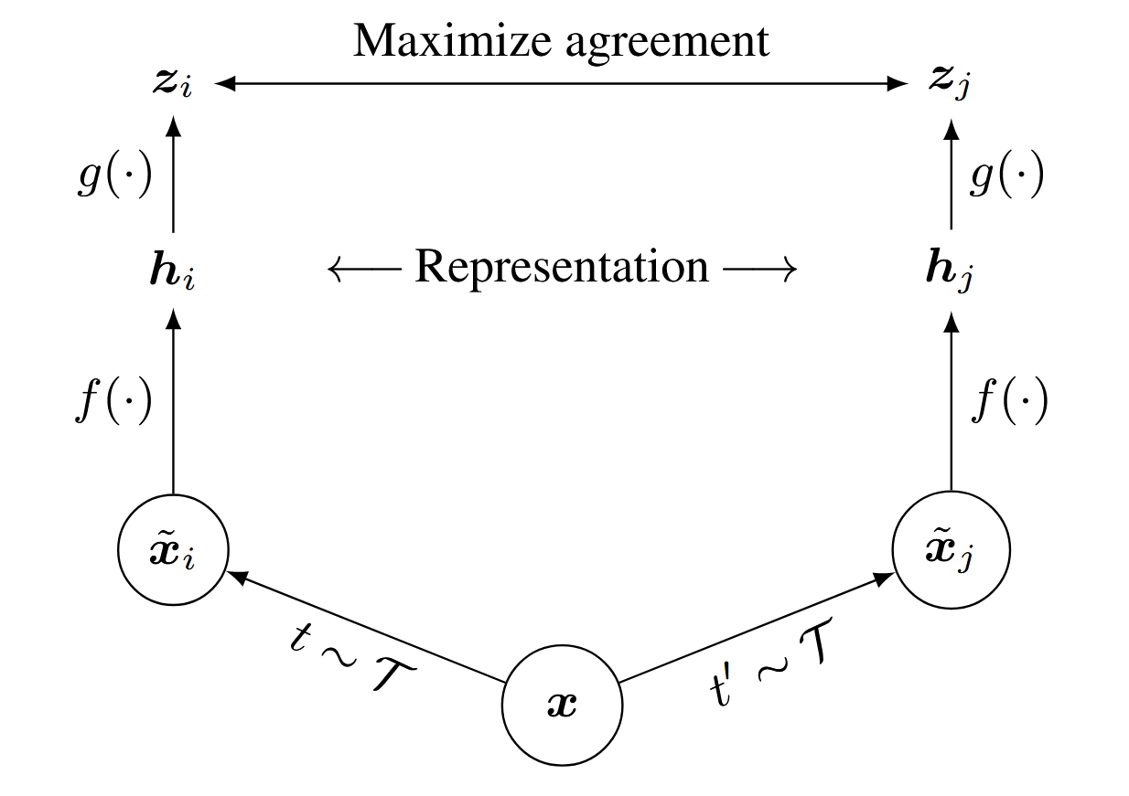 A Simple Framework for Contrastive Learning of Visual Representations - 知乎