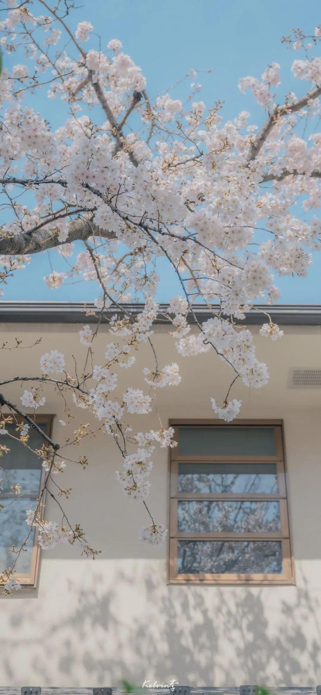 送你一期精美壁纸分享（全面屏4k无水印） - 知乎