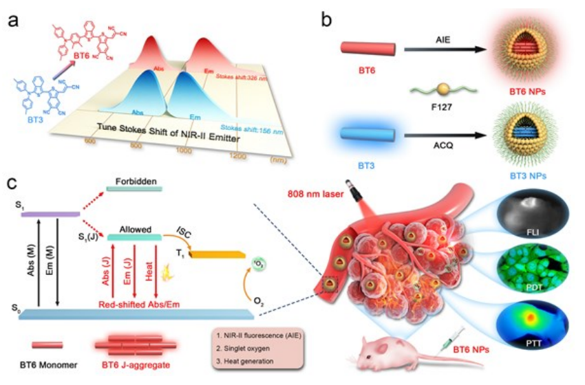 NIR-II 荧光团 | 苯并[c]噻吩荧光团的抗猝灭NIR-II J聚集体实现高效生物成像和光疗诊断 - 知乎