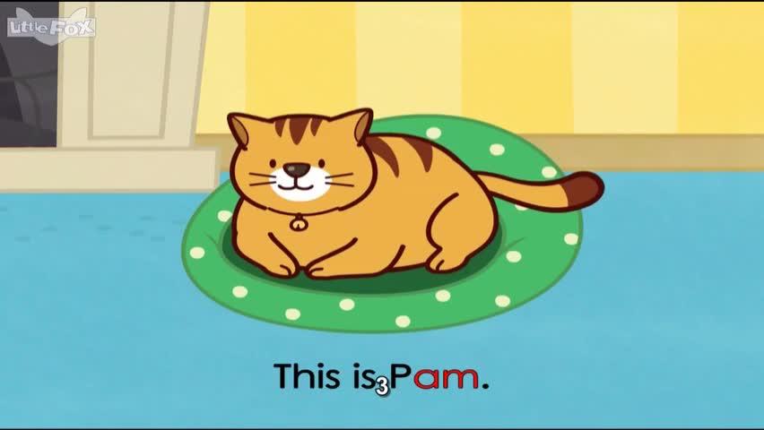 从0到100 第二课 Sam has ham - 知乎