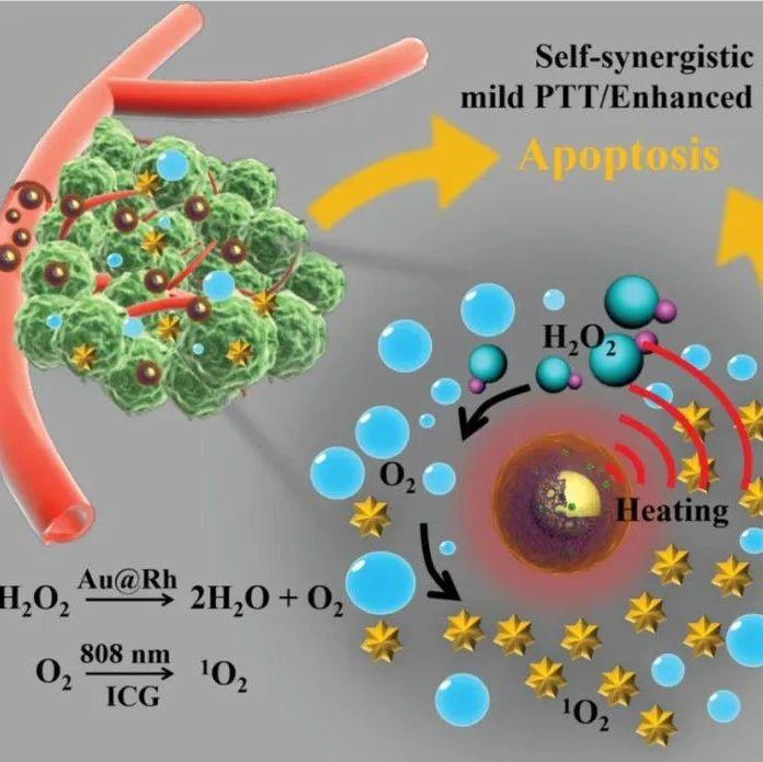 【Adv.Mater】多孔Au@Rh双金属核壳纳米结构作为H2O2驱动的氧合器，用于缓解同时双峰成像和增强光动力治疗的肿瘤缺氧 - 知乎