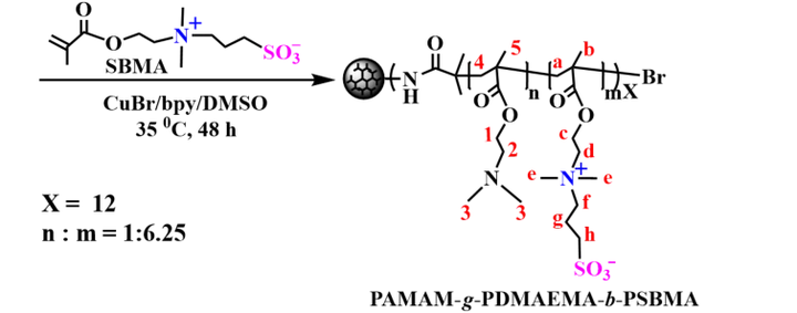 PH敏感性/核壳/星形PAMAM-PDMAEMA-PSBMA /聚酰胺修饰聚甲基丙烯酸N，N-二甲氨基乙酯-聚甲基丙烯酰磺酸甜菜碱 - 知乎